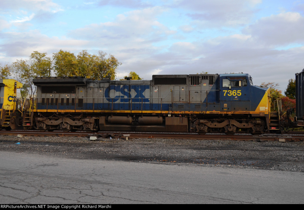 CSX 7365